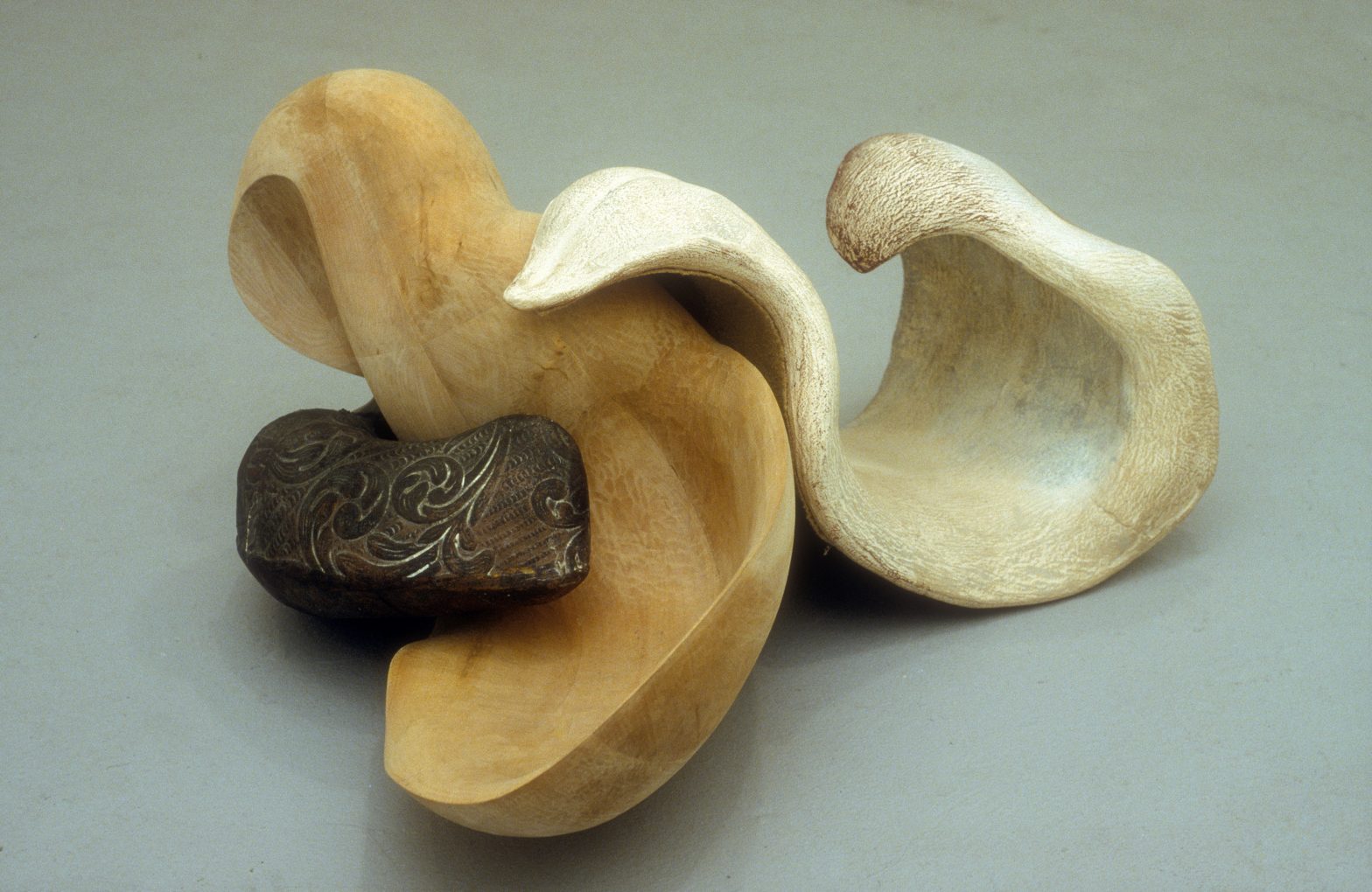 Homepage - Jacqueline Poncelet